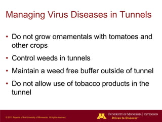 Virus and bacteria in High Tunnels | PPT