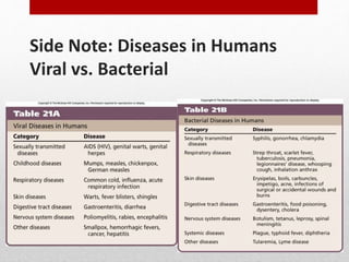 Virus and bacteria | PPT