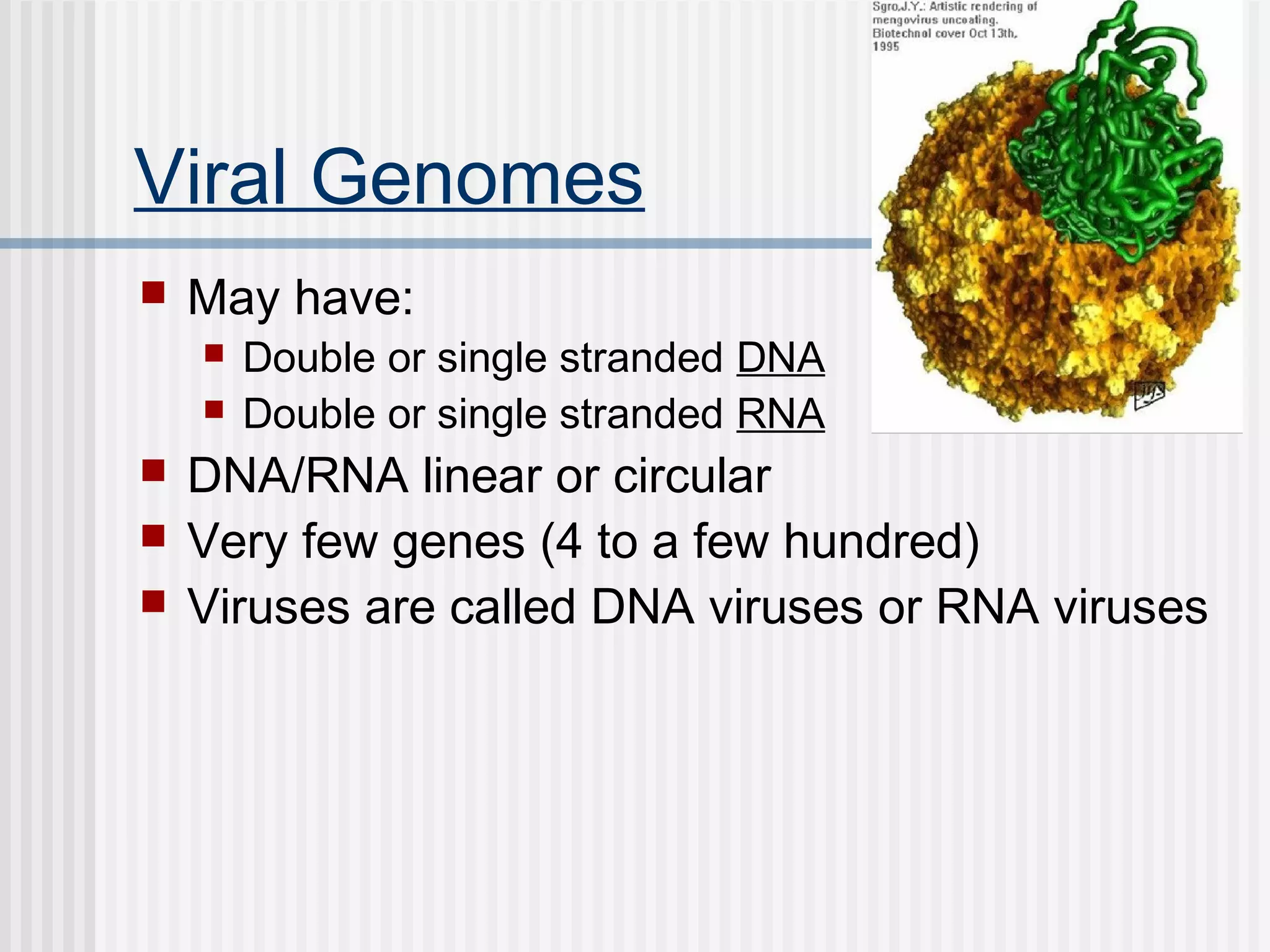 Virus and bacteria genome | PPT