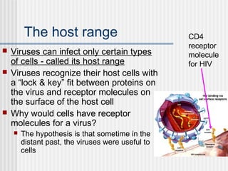 Virus and bacteria genome | PPT