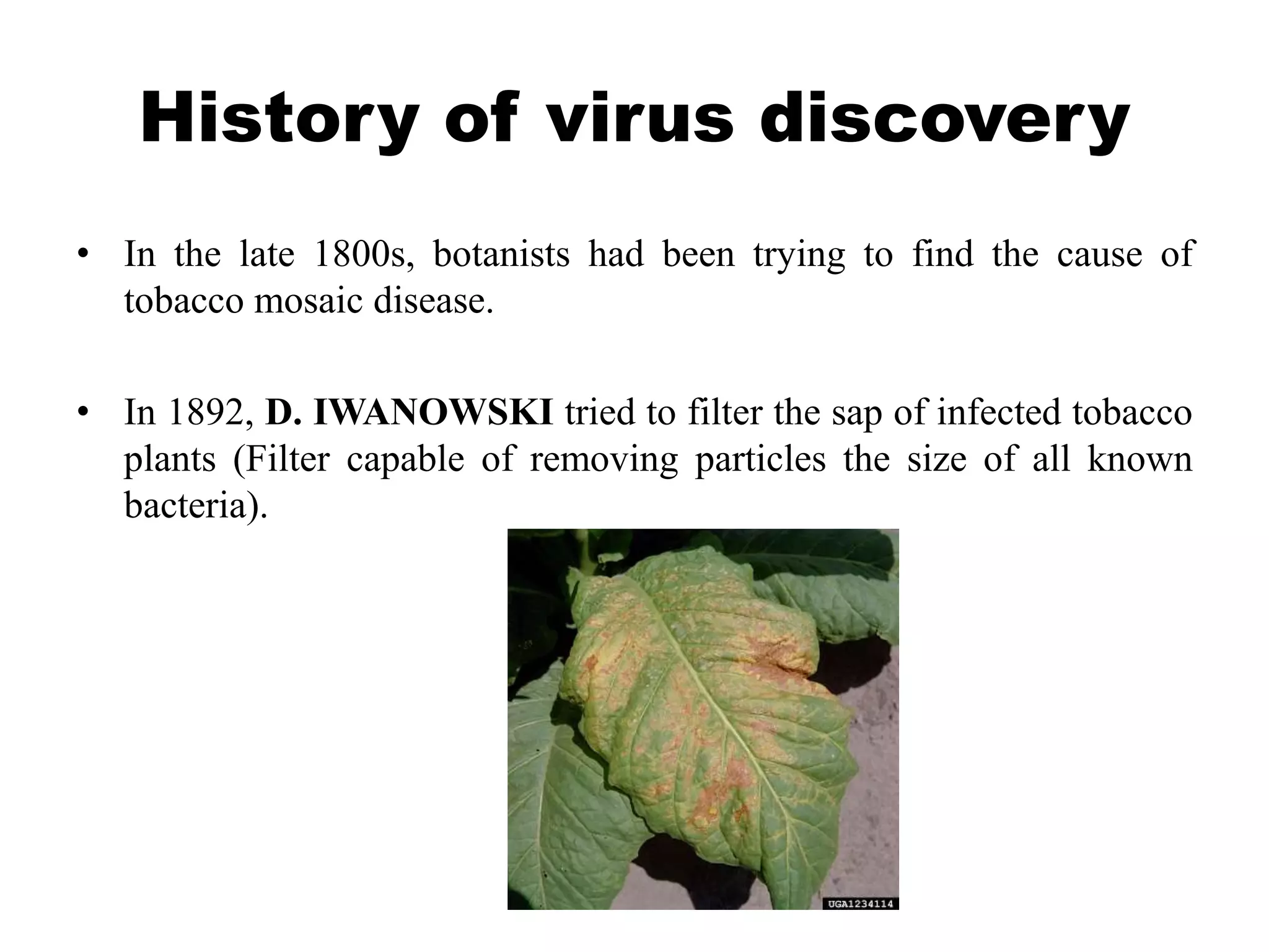 Virus and bacteriophage | PPTX