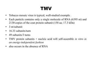 Virus and bacteriophage | PPTX