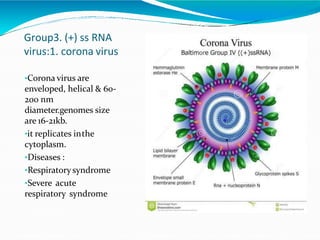 Virus and its classification | PPT