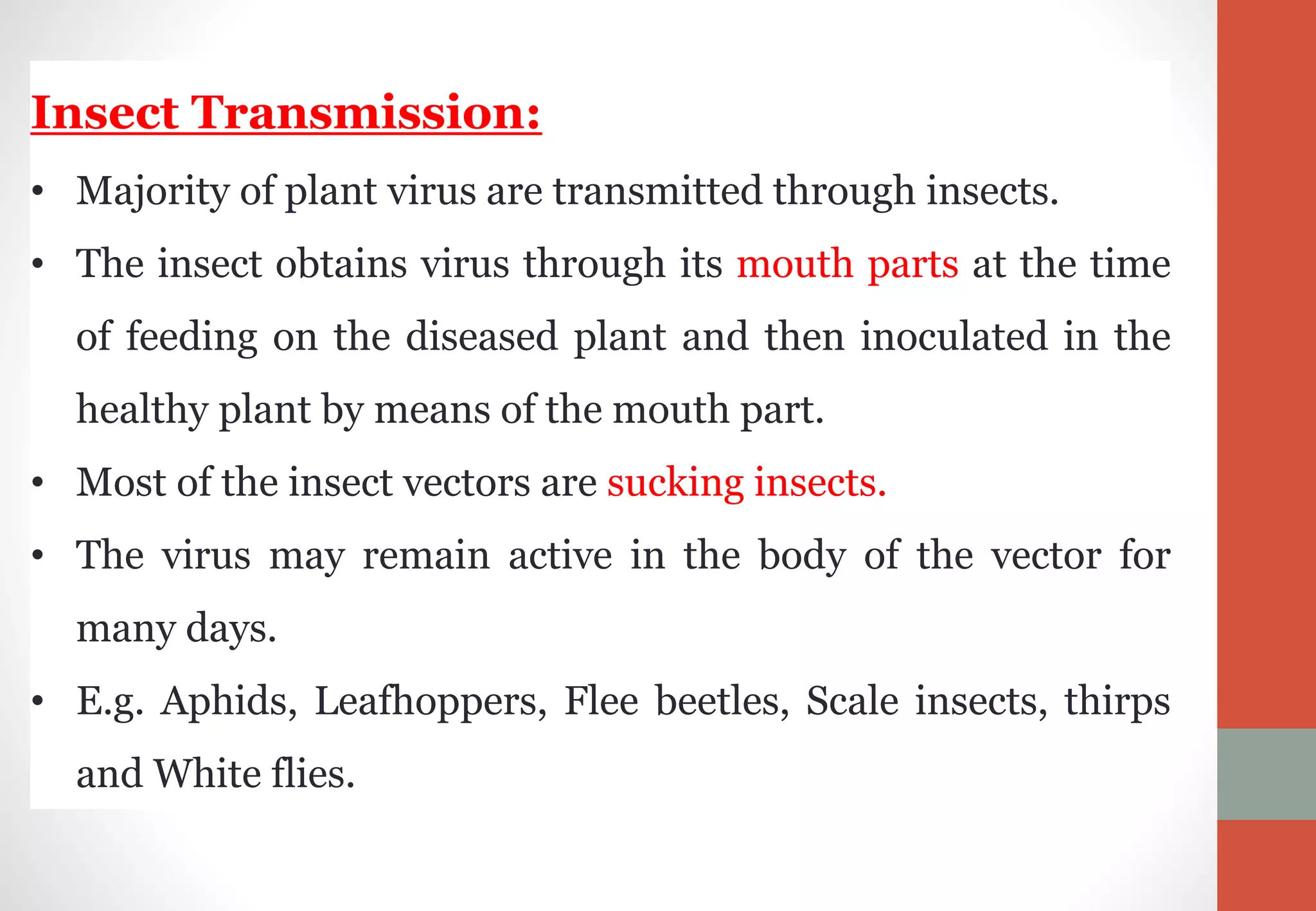 Virus and viral diseases in plants | PPTX