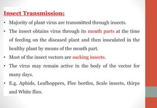 Virus and viral diseases in plants | PPTX