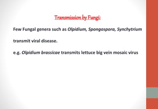 Virus and viral diseases in plants | PPTX