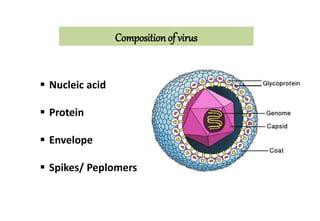 Virus and viral diseases in plants | PPTX