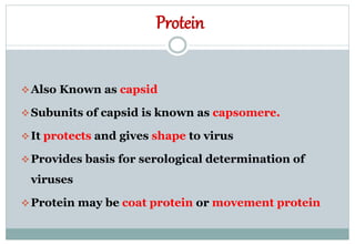 Virus and viral diseases in plants | PPTX