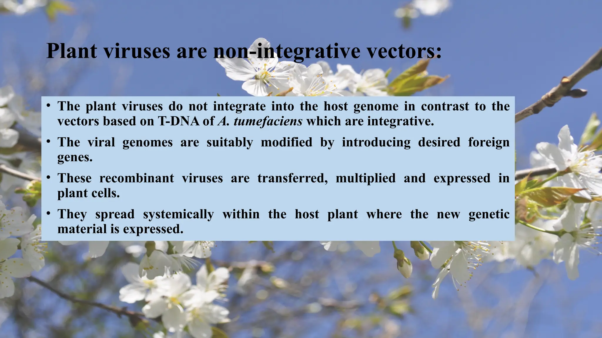 Plant viruses as vector for gene transfer | PPTX