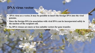 Plant viruses as vector for gene transfer | PPTX