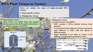 Plant viruses as vector for gene transfer | PPTX