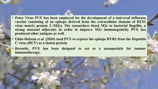 Plant viruses as vector for gene transfer | PPTX