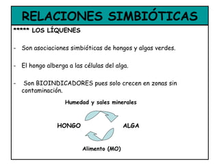 Virus bacterias hongos y protistas. | PPT
