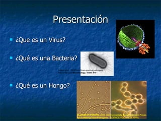 Virus, bacterias y hongos patógenos | PPT