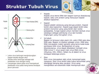 Virus bagian 1 | PPTX