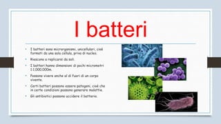 Presentazione su virus e batteri | PPTX