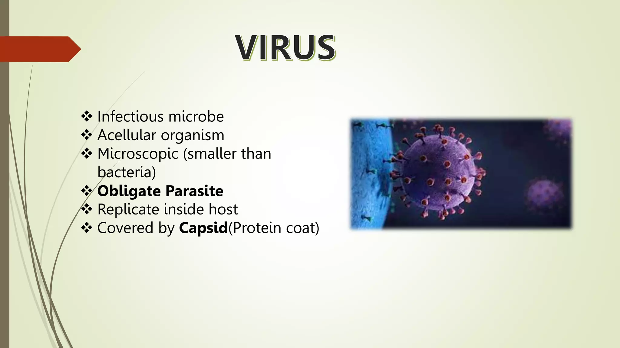virus classification.pptx