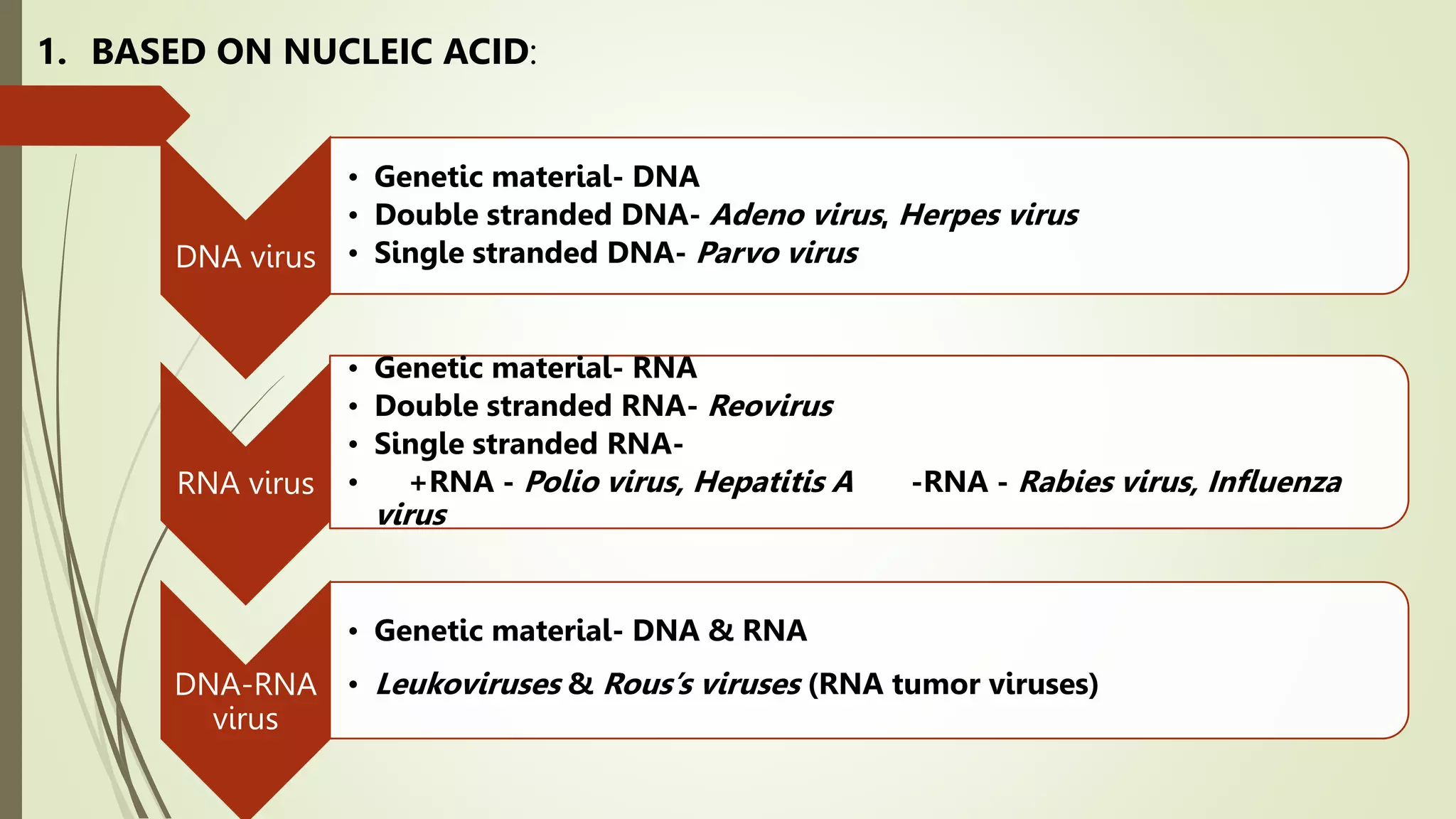 virus classification.pptx