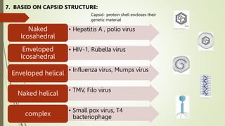 virus classification.pptx