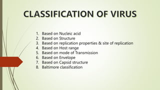 virus classification.pptx