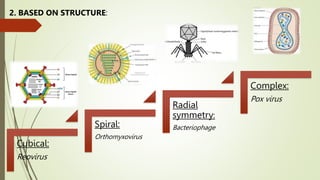 virus classification.pptx