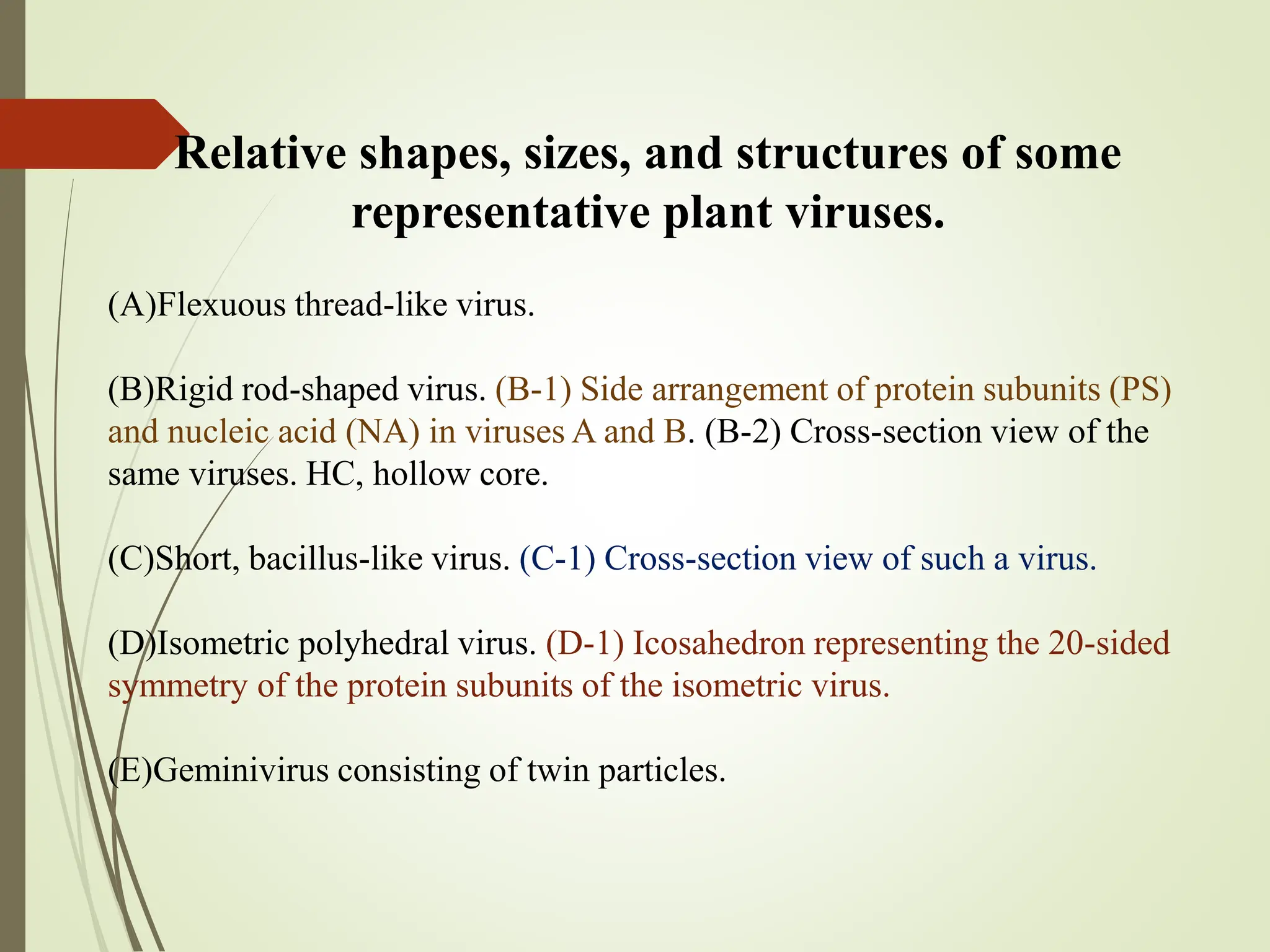 Virus_Classification of plant virus in virus | PPTX
