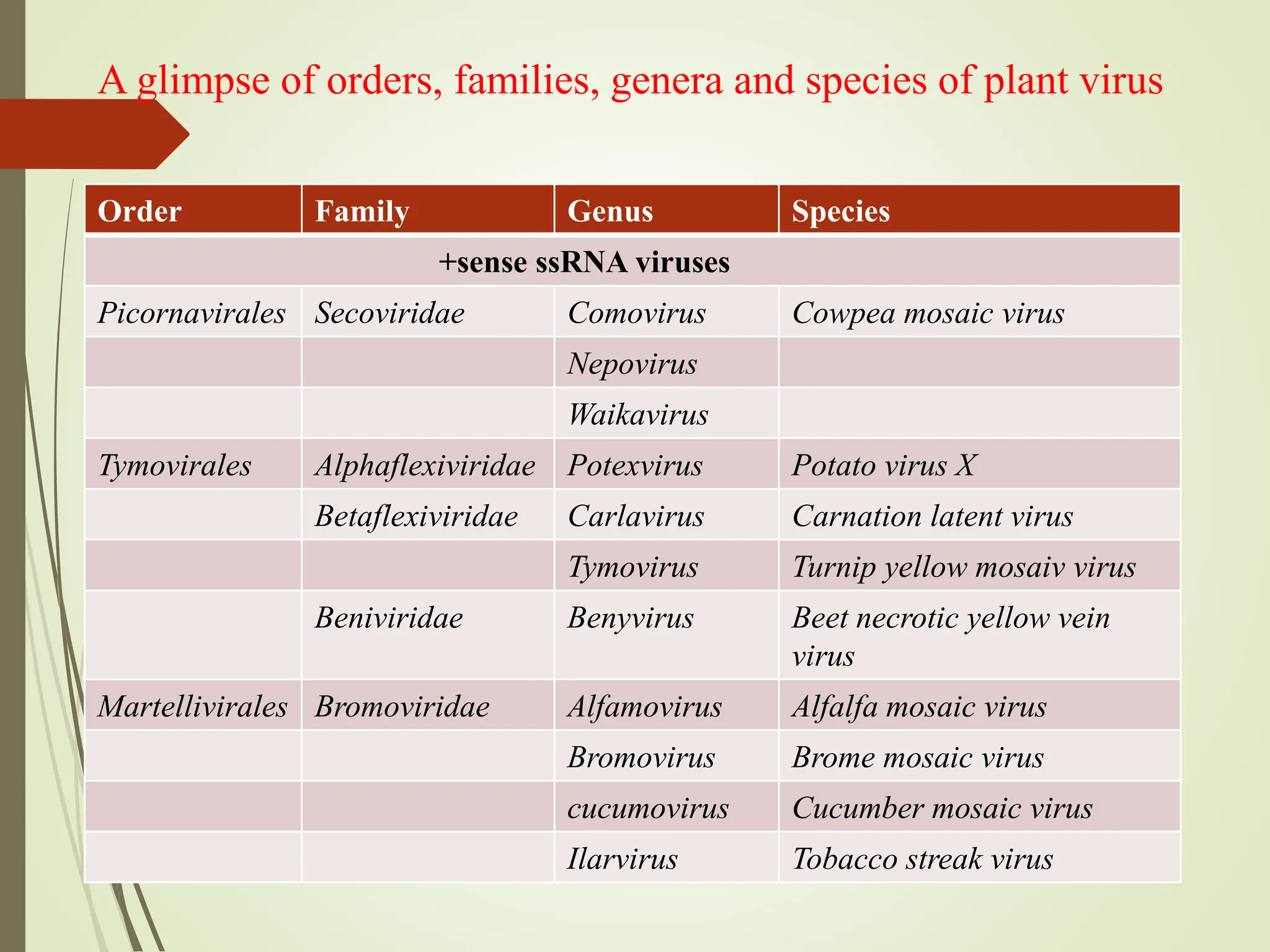 Virus_Classification of plant virus in virus | PPTX