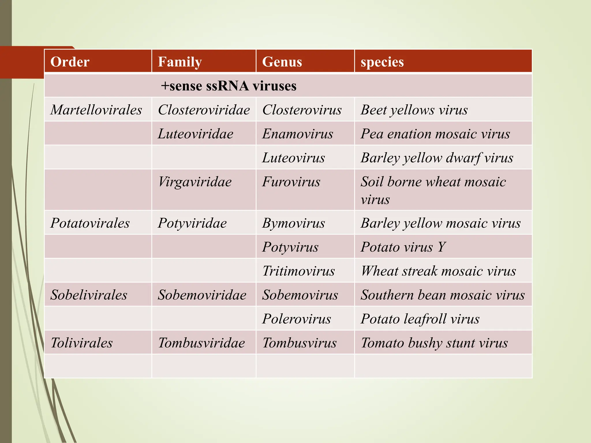 Virus_Classification of plant virus in virus | PPTX