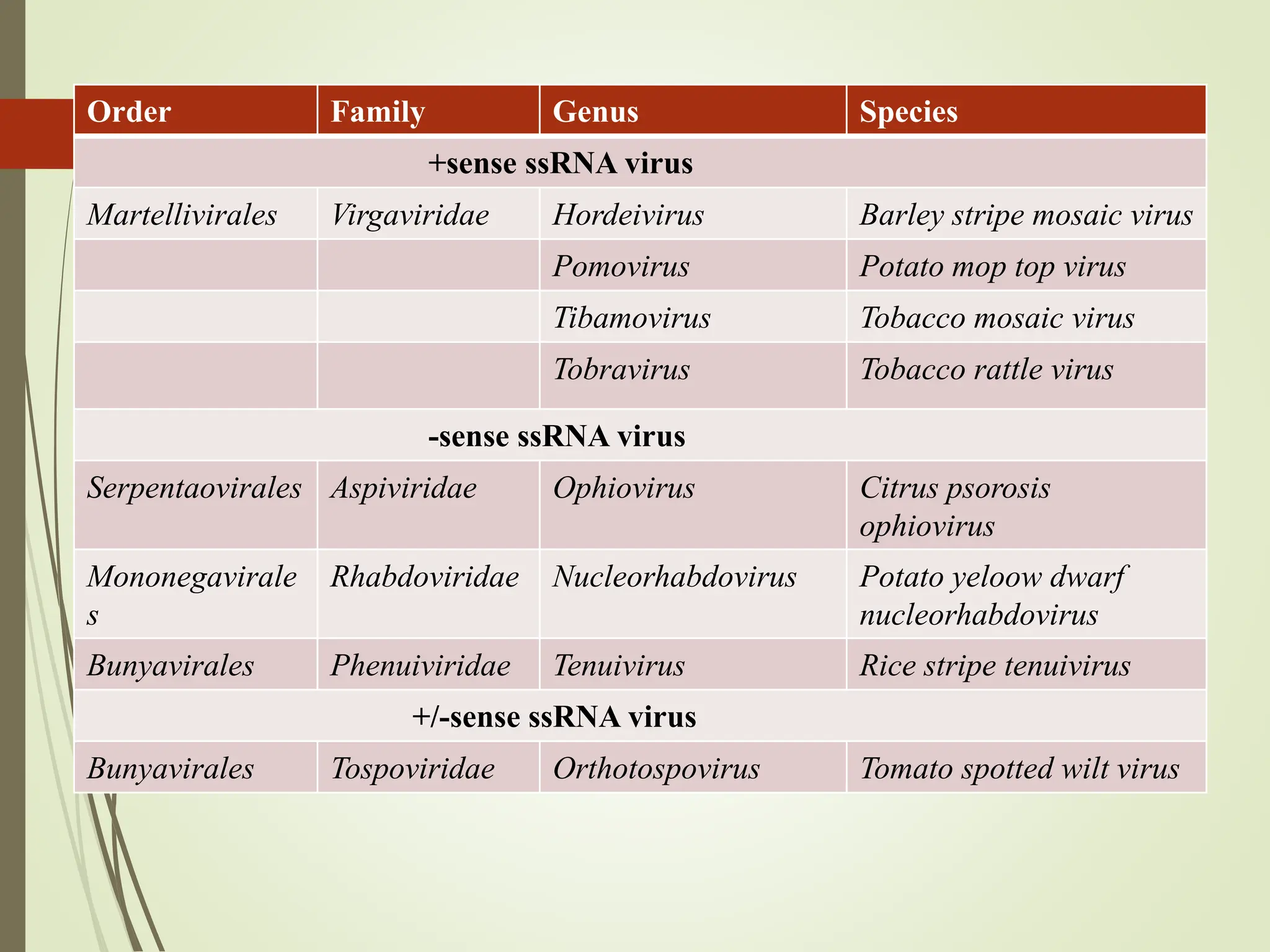 Virus_Classification of plant virus in virus | PPTX