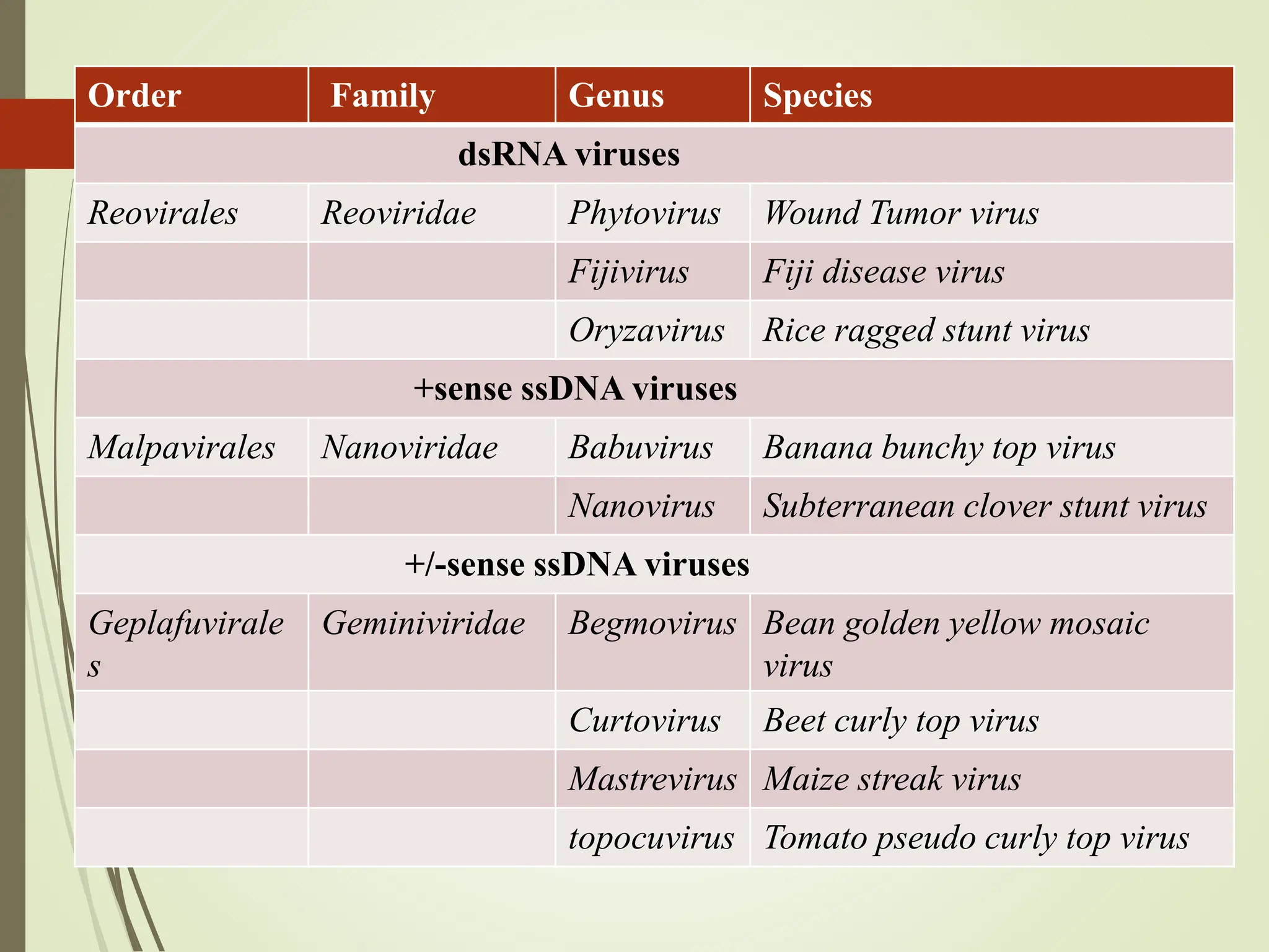 Virus_Classification of plant virus in virus | PPTX