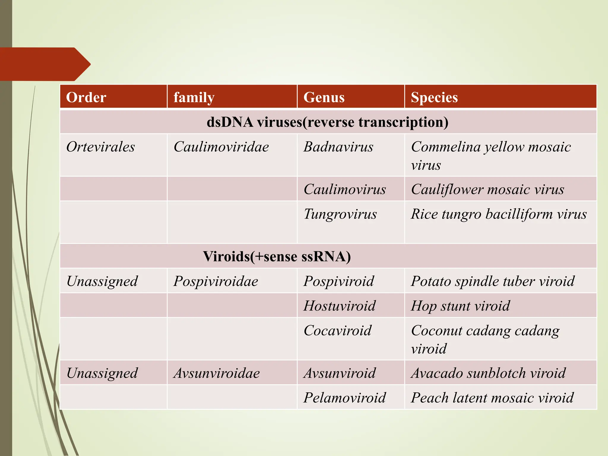 Virus_Classification of plant virus in virus | PPTX