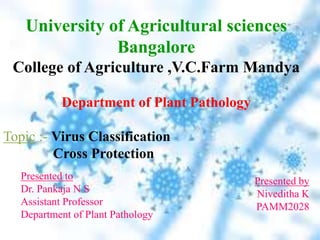 Virus_Classification of plant virus in virus | PPTX