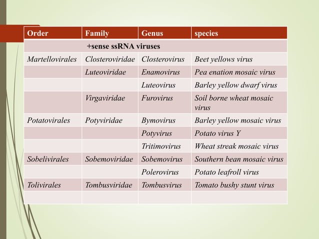 Virus_Classification of plant virus in virus | PPTX