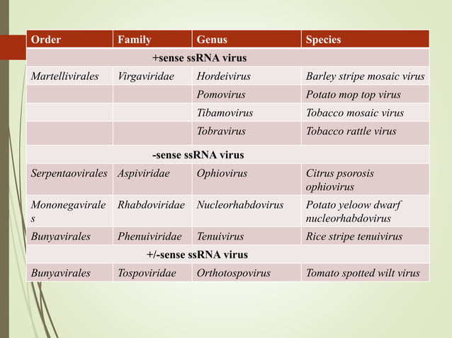 Virus_Classification of plant virus in virus | PPTX
