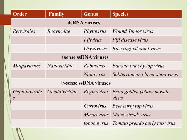 Virus_Classification of plant virus in virus | PPTX