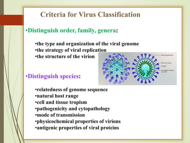 Virus_Classification of plant virus in virus | PPTX
