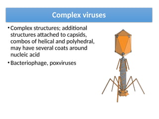 Structures and classification of viruses | PPTX