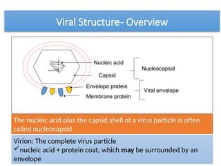 Structures and classification of viruses | PPTX