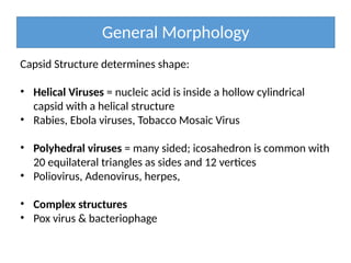 Structures and classification of viruses | PPTX