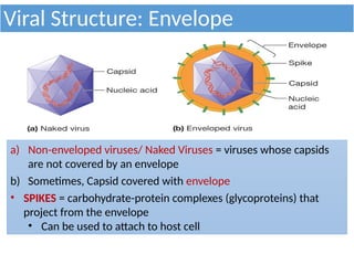 Structures and classification of viruses | PPTX