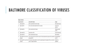 virus classifications and typing (2).pdf