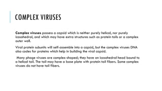 virus classifications and typing (2).pdf