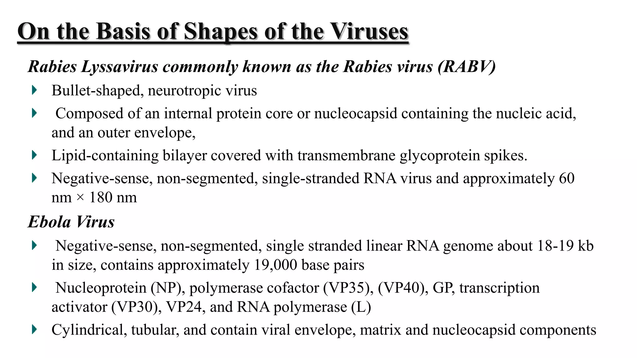 Virus classification by kainat ramzan | PPT