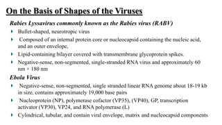 Virus classification by kainat ramzan | PPT
