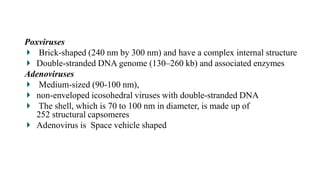 Virus classification by kainat ramzan | PPTX