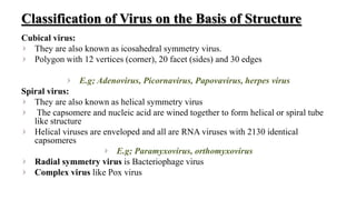 Virus classification by kainat ramzan | PPT