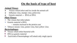 Virus classification by kainat ramzan | PPT