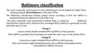 Virus classification by kainat ramzan | PPT