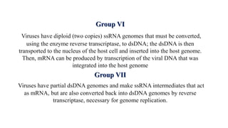 Virus classification by kainat ramzan | PPT