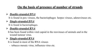 Virus classification by kainat ramzan | PPTX